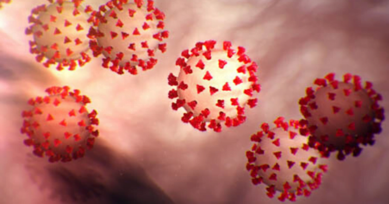 Blog | Bespoke Training